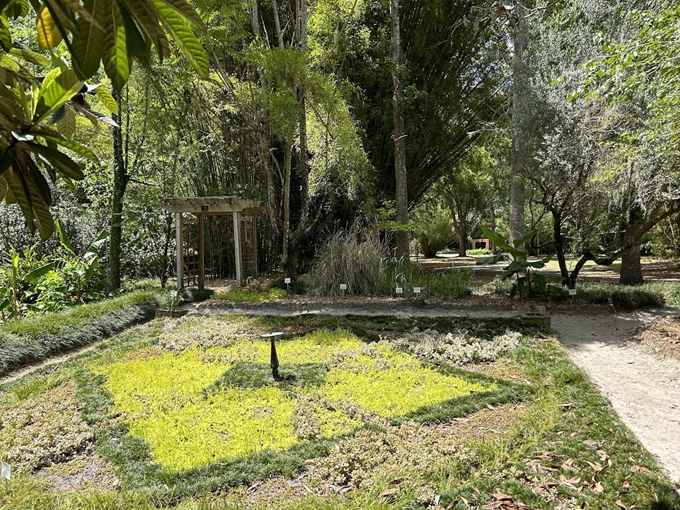 kanapaha botanical gardens 4
