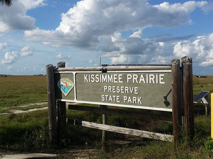 kissimmee prairie preserve state park 1