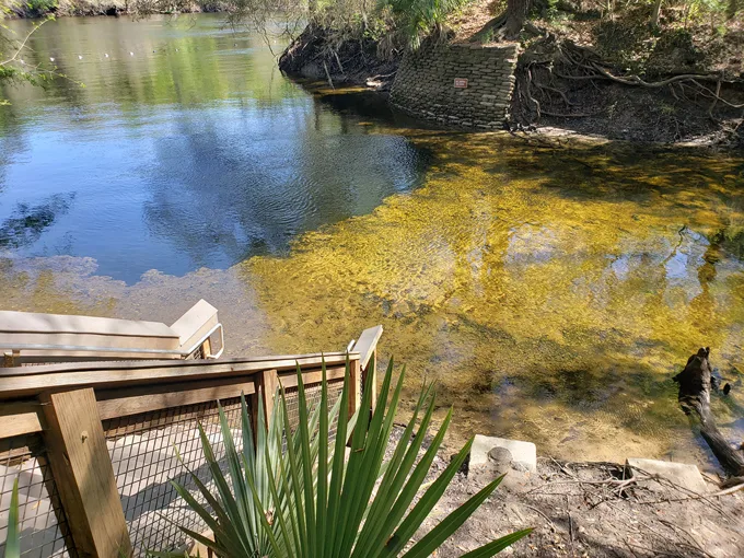 lafayette blue springs 5