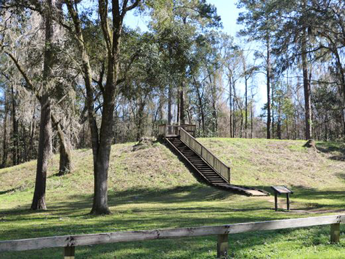 lake jackson mounds archaeological state park 6