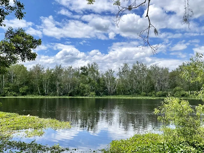 lake woodruff national wildlife refuge 7