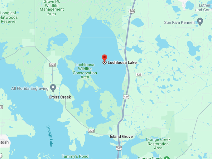 Lochloosa Lake 10 Map 