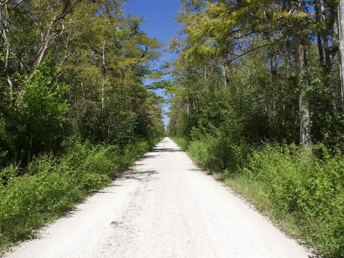 loop road scenic drive 1