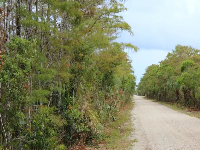 loop road scenic drive 2