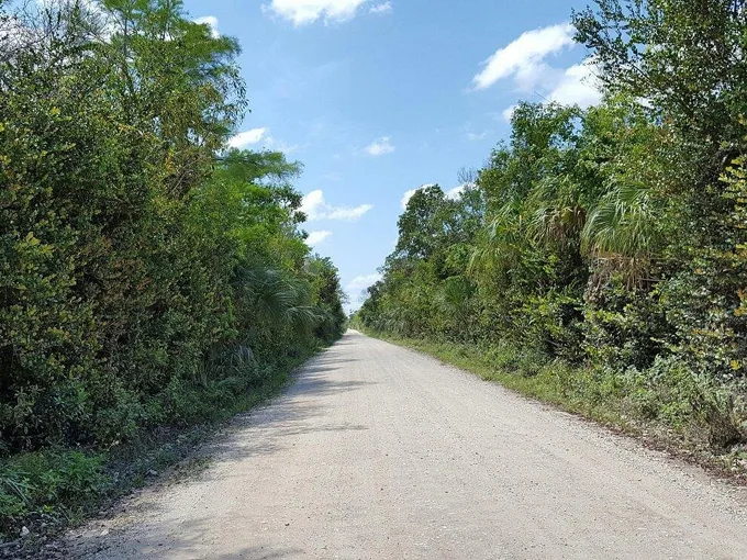 loop road scenic drive 7