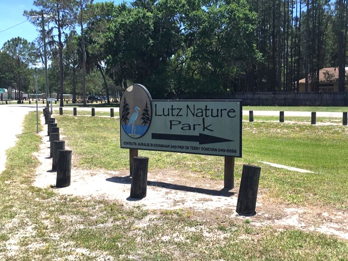 lutz nature park 1
