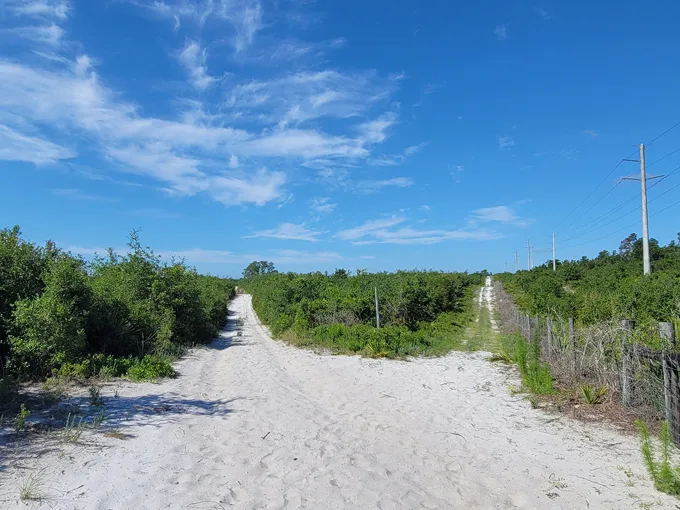 lyonia preserve environmental center 3