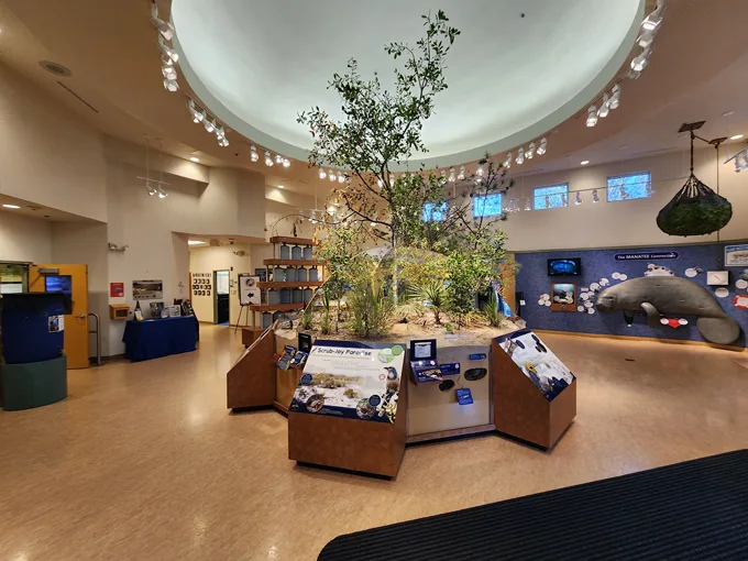 lyonia preserve environmental center 5
