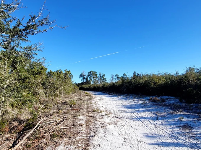 lyonia preserve environmental center 8