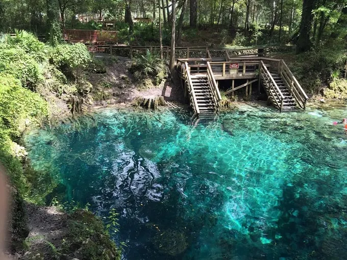 madison blue spring state park 3