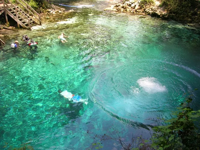 Madison Blue Springs Park 4