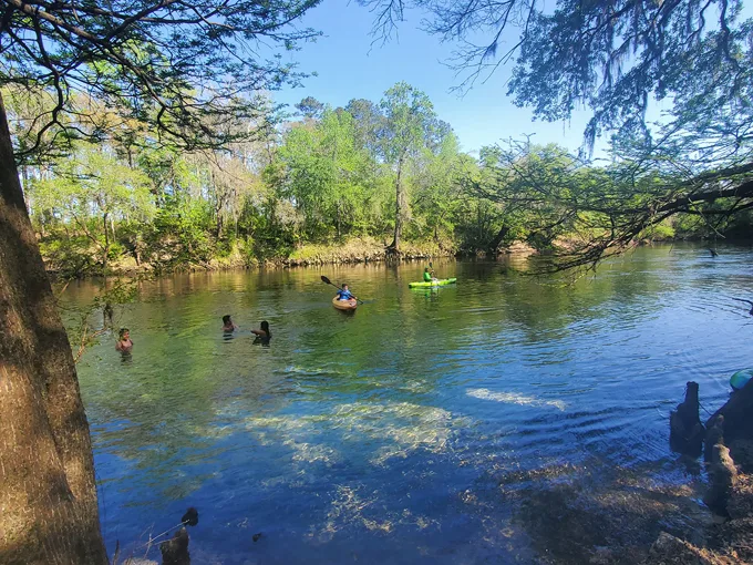 madison blue spring state park 7