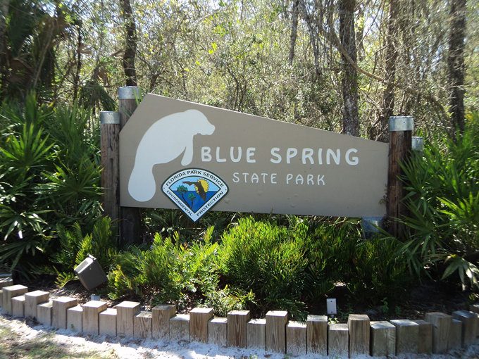 madison blue springs state park 1