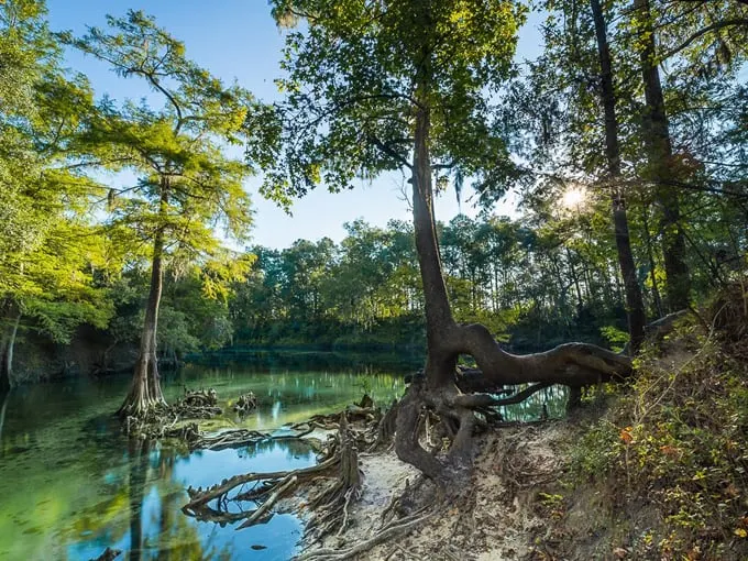 madison blue springs state park 3