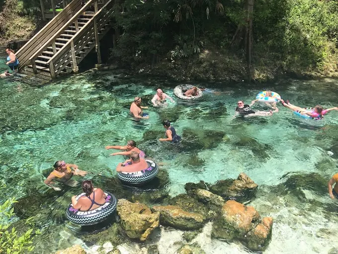 madison blue springs state park 5