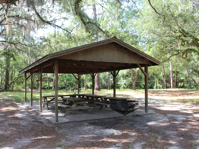 madison blue springs state park 6