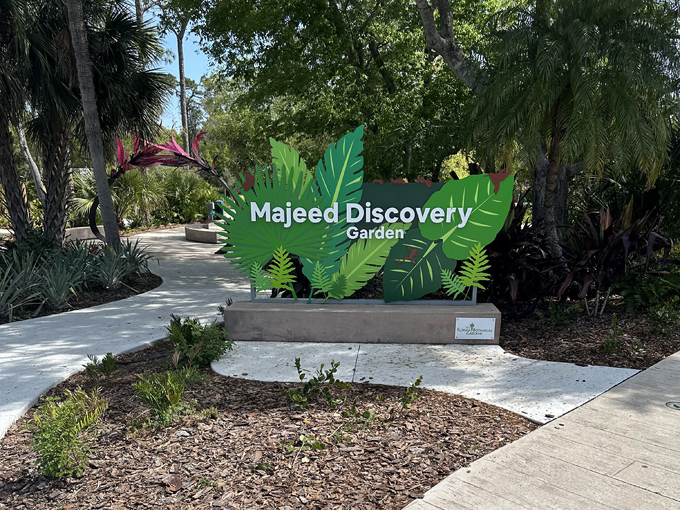 majeed discovery garden 1