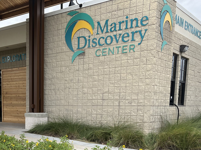 marine discovery center 1