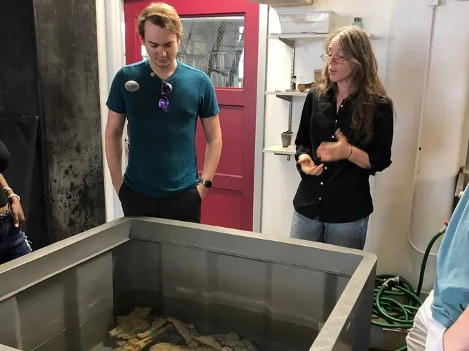 mel fisher maritime heritage society and museum 9