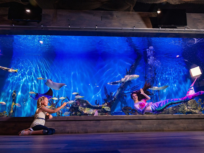 mertailors mermaid aquarium encounter 3