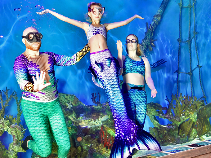 mertailors mermaid aquarium encounter 4