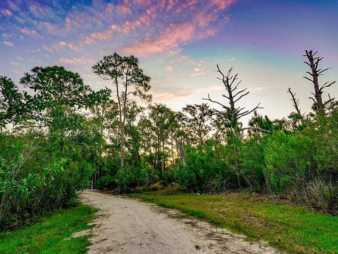 mobbly bayou wilderness preserve 5