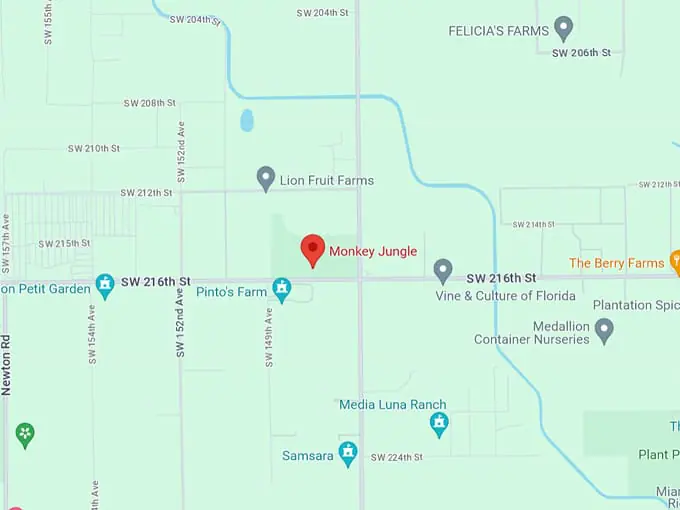 monkey jungle 10 map