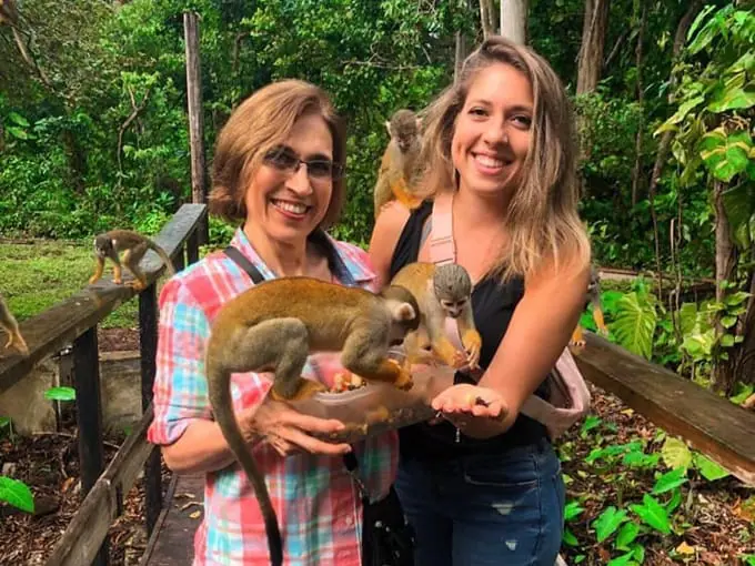 monkey jungle 8