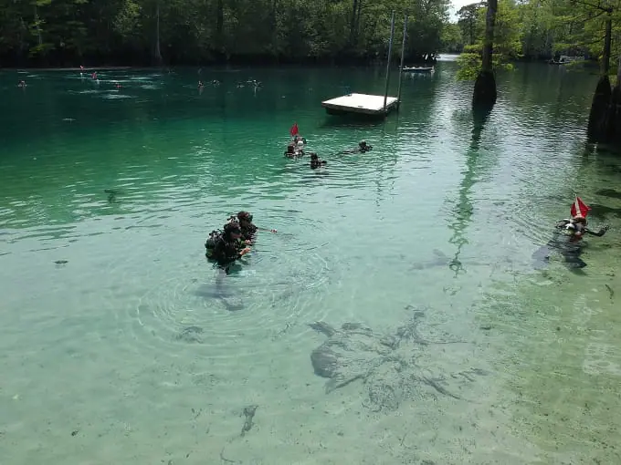 morrison springs park 3