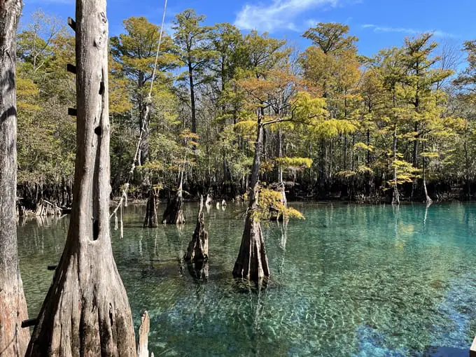 morrison springs park 8