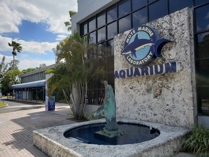 mote marine laboratory aquarium 1