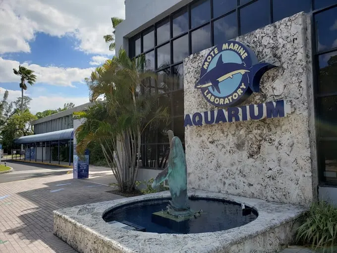 mote marine laboratory aquarium 1