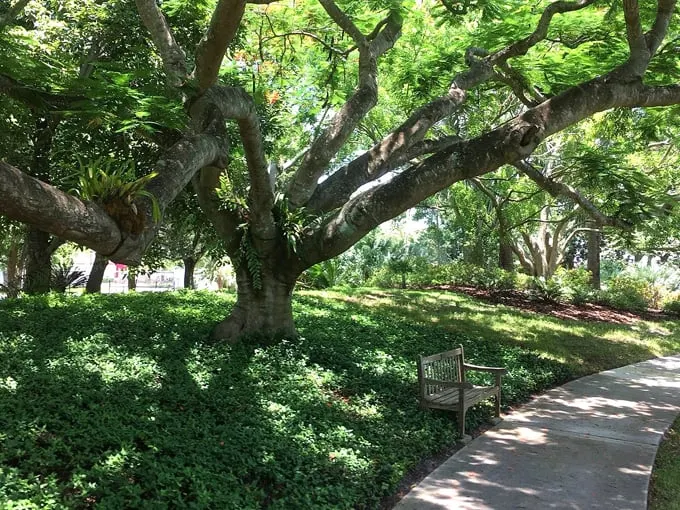 mounts botanical garden 1