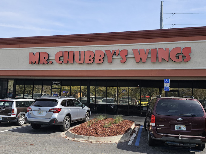 mr. chubbys wings 1