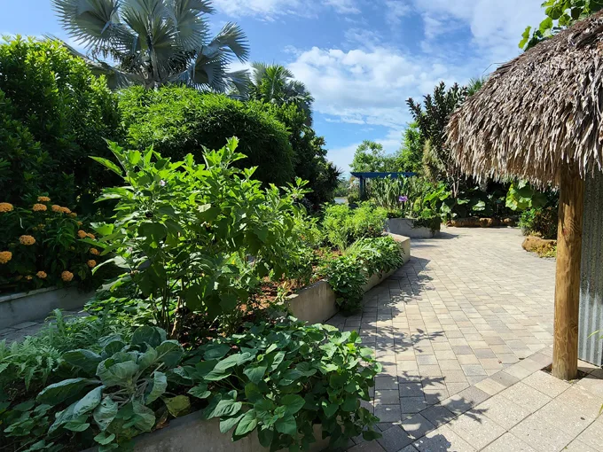 naples botanical garden 3