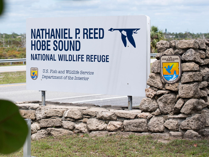 nathaniel p. reed hobe sound national wildlife refuge 1