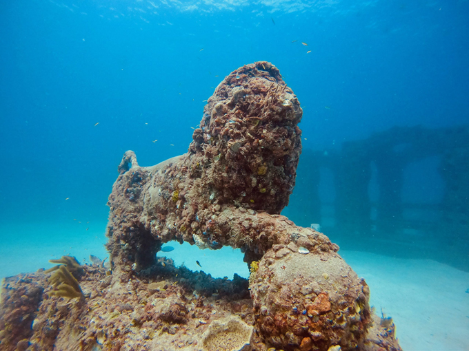 neptune memorial reef 4