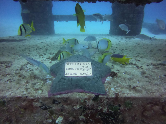 neptune memorial reef 7