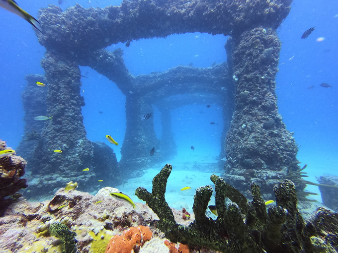 neptune memorial reef 9