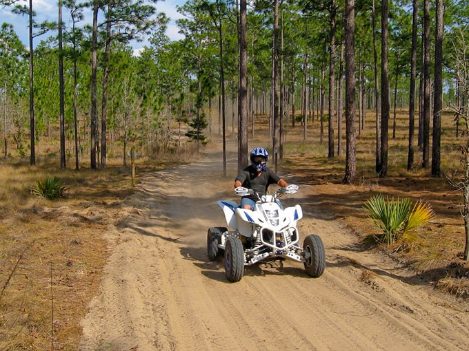 ocala national forest 9