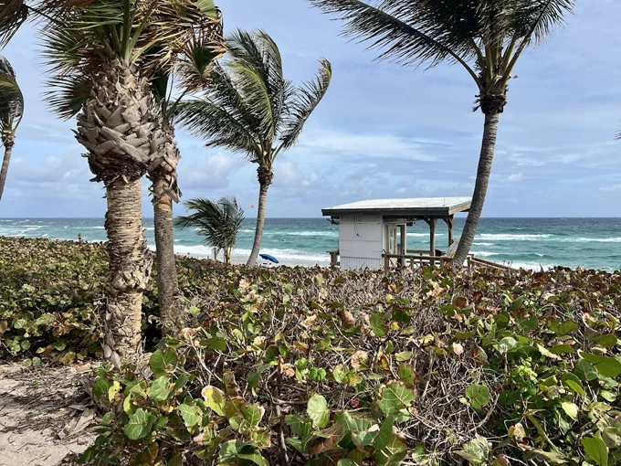 oceanfront park beach 2