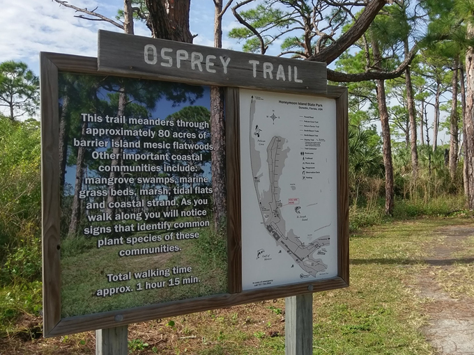 osprey trail 1