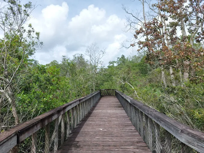 peghorn nature park trail 3