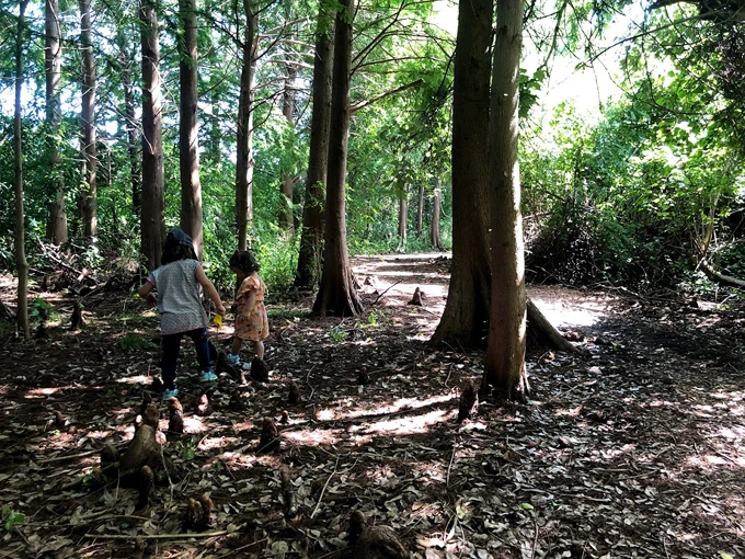 peghorn nature park trail 8