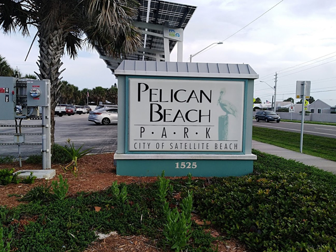 pelican beach park 8