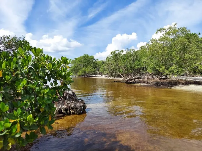 ponce de leon park 1