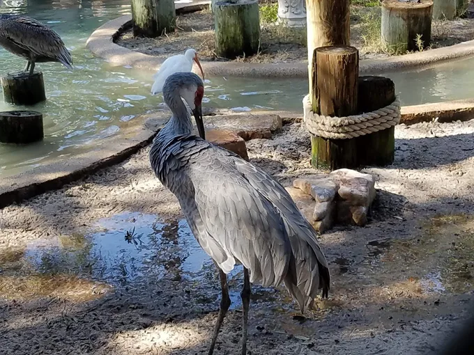 ponce de leon park 4