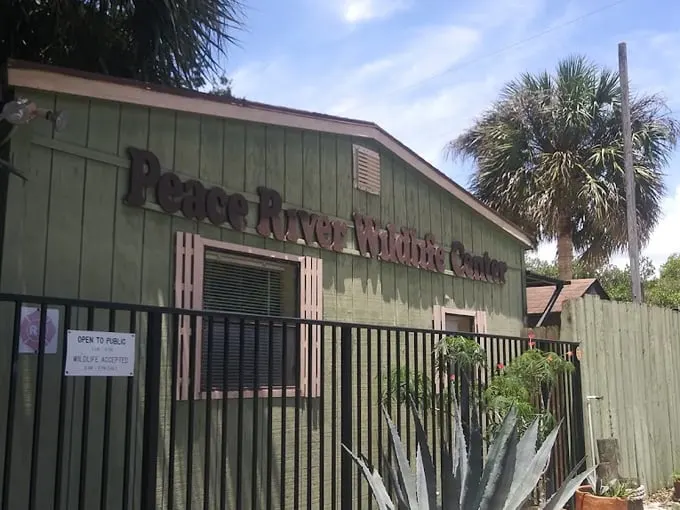ponce de leon park 8