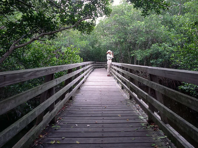 ponce de leon park 9