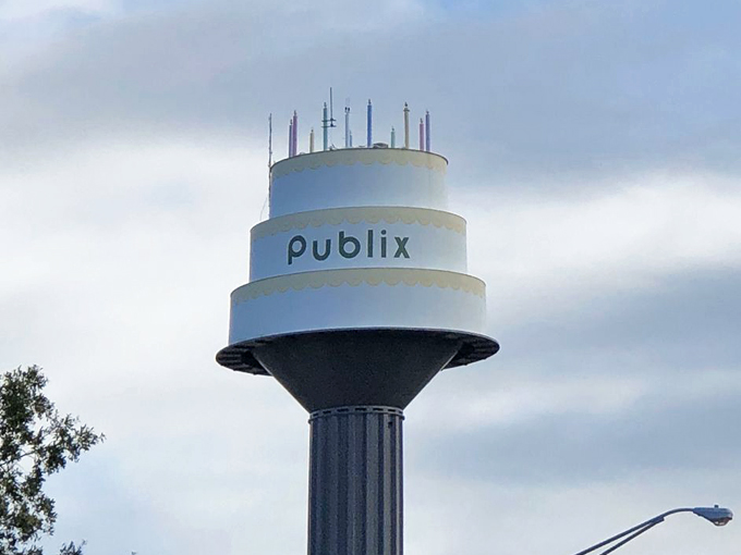 publix birthday cake water tower 3